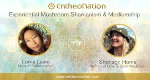 Experiential Mushroom Shamanism & Mediumship | Shonagh Home