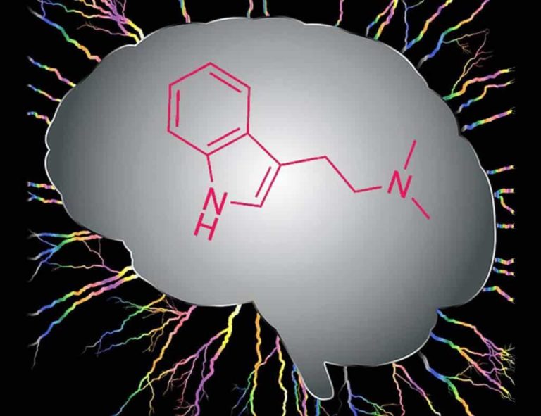 Pineal Gland DMT – What the Science Says - EntheoNation
