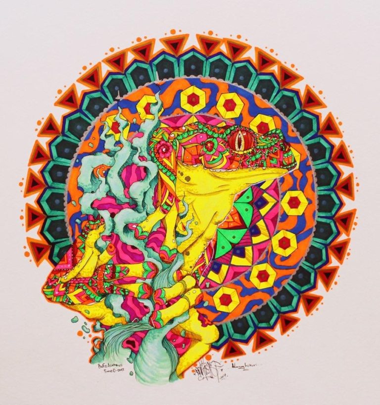 The Seeker’s Guide to Bufo alvarius - EntheoNation