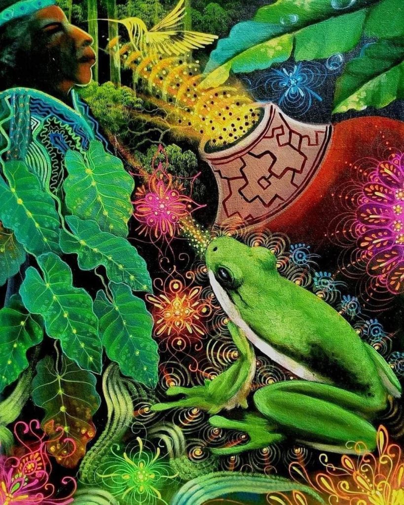 The Seeker’s Guide to Kambô - EntheoNation