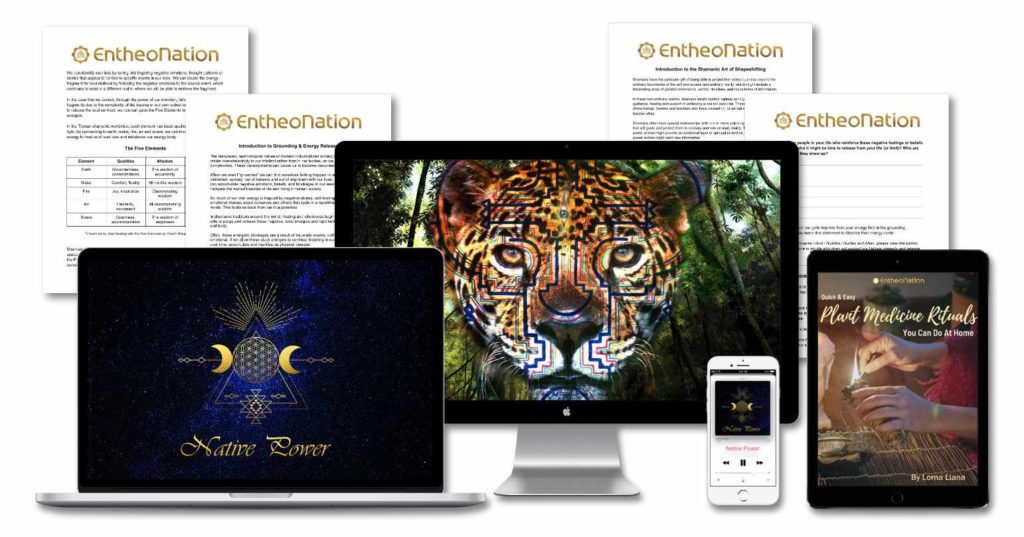 Core Shamanism: Ancestral Rituals in Modern Times – EntheoNation