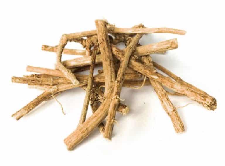 Dream Herbs: Top 10 Exotic & Legal Oneirogens - EntheoNation